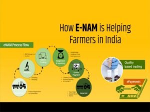 e-NAM 2025: All Features, Benefits and Registration Process