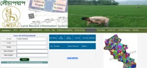 Loucha Pathap: Know ROR, Jamabandi and Patta Number