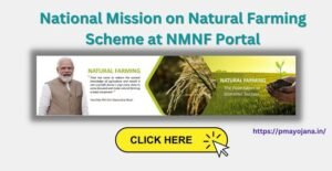 NMNF Portal 2025: Check All Features and Registration Process