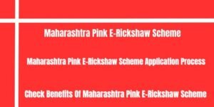 Maharashtra Pink E-Rickshaw Scheme 2025: Check Eligibility