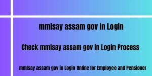 mmlsay assam gov in Login Online for Employee and Pensioner